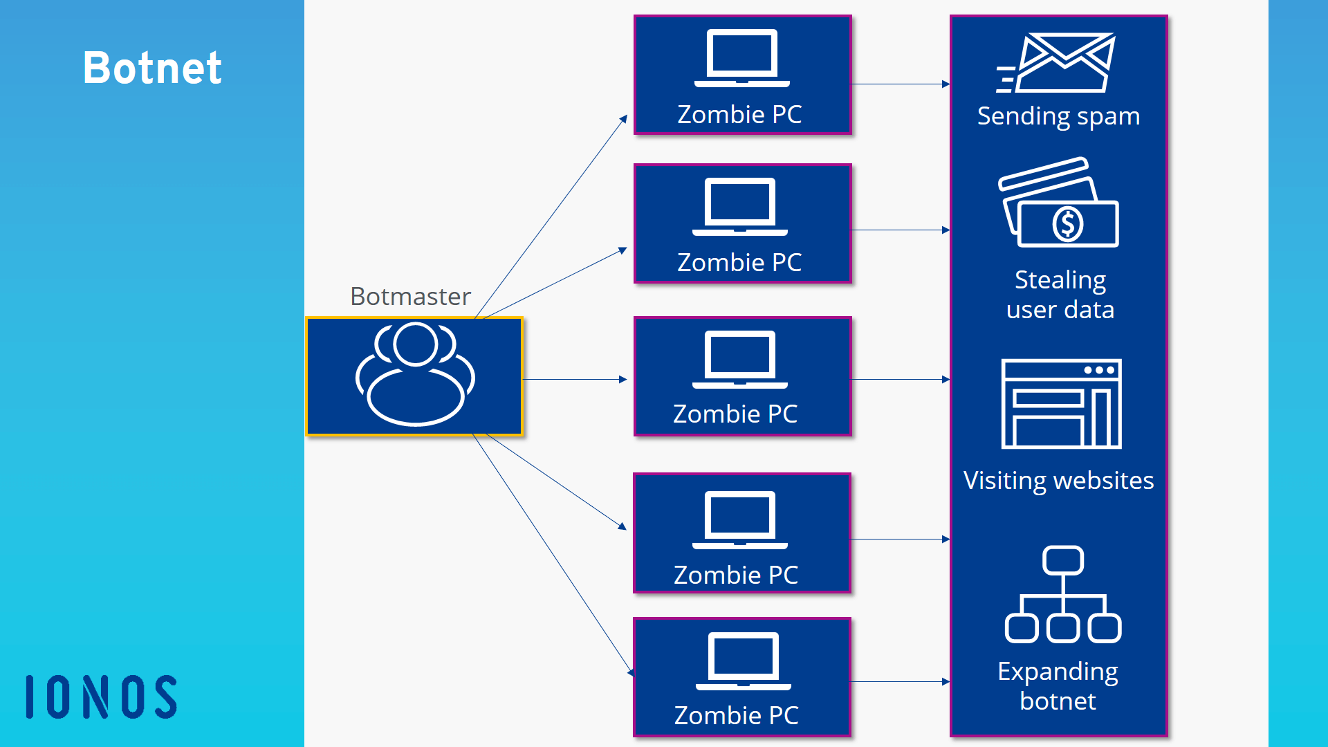 What are Botnets and how can you protect yourself? - IONOS What are Botnets and how can you protect yourself? - IONOS