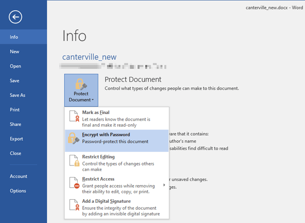How to password protect a Word document - IONOS