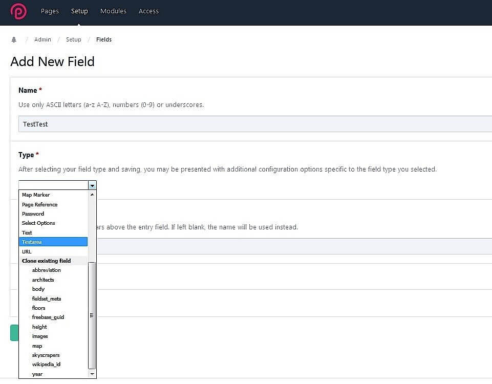ProcessWire - The WordPress alternative for developers - IONOS