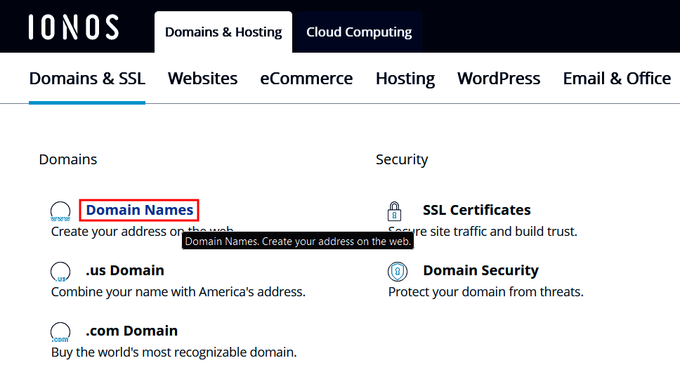 How to link ProtonMail with a custom domain - IONOS