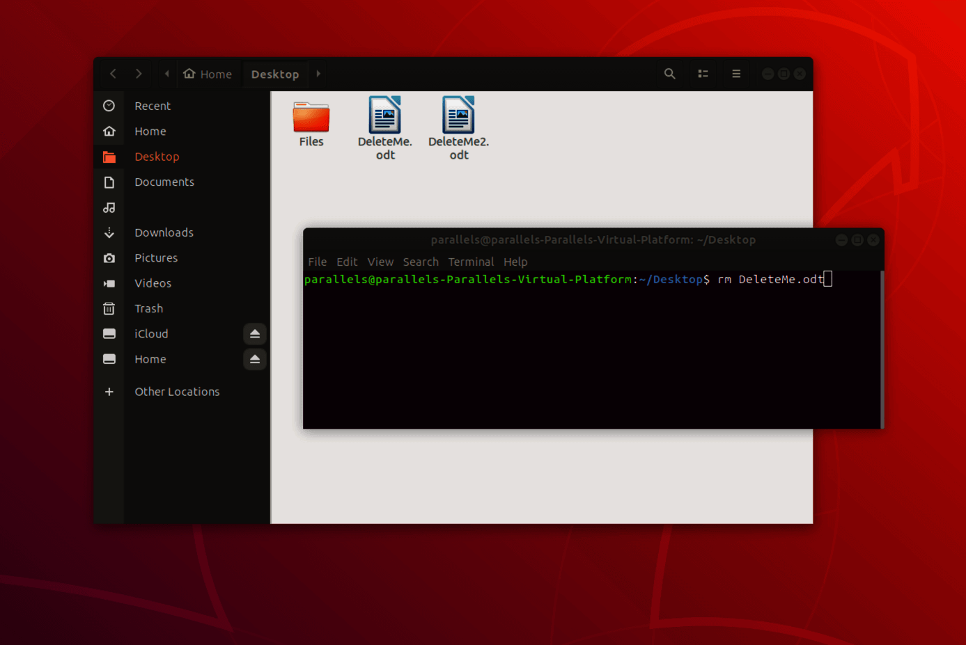 How to delete files in Linux - IONOS
