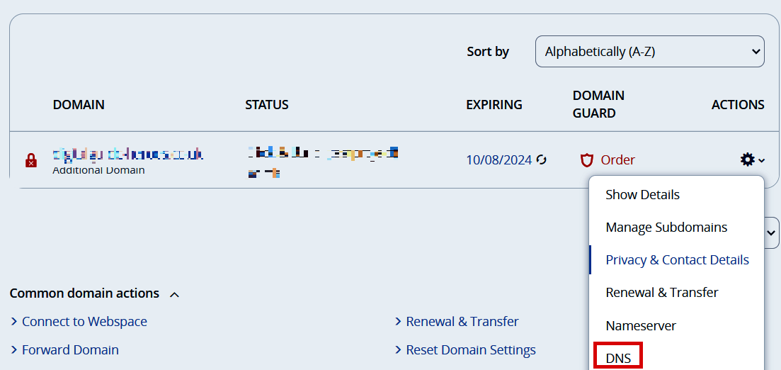 ARK: Survival Ascended with to a custom domain - How to - IONOS