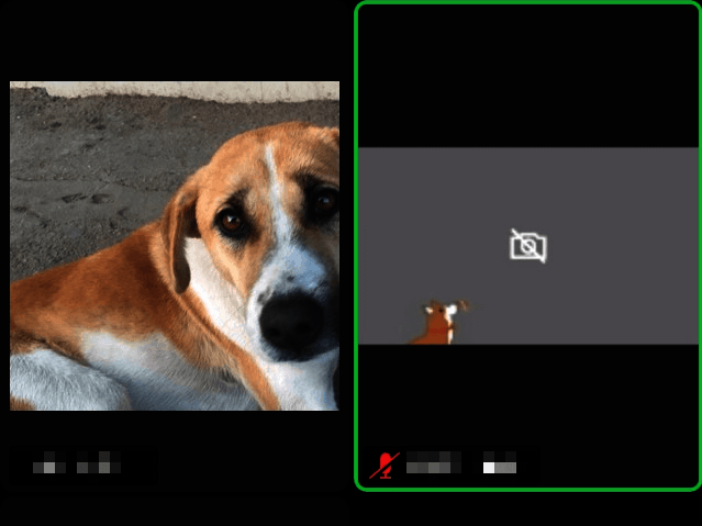 How to see everyone on Zoom: Using gallery view - IONOS