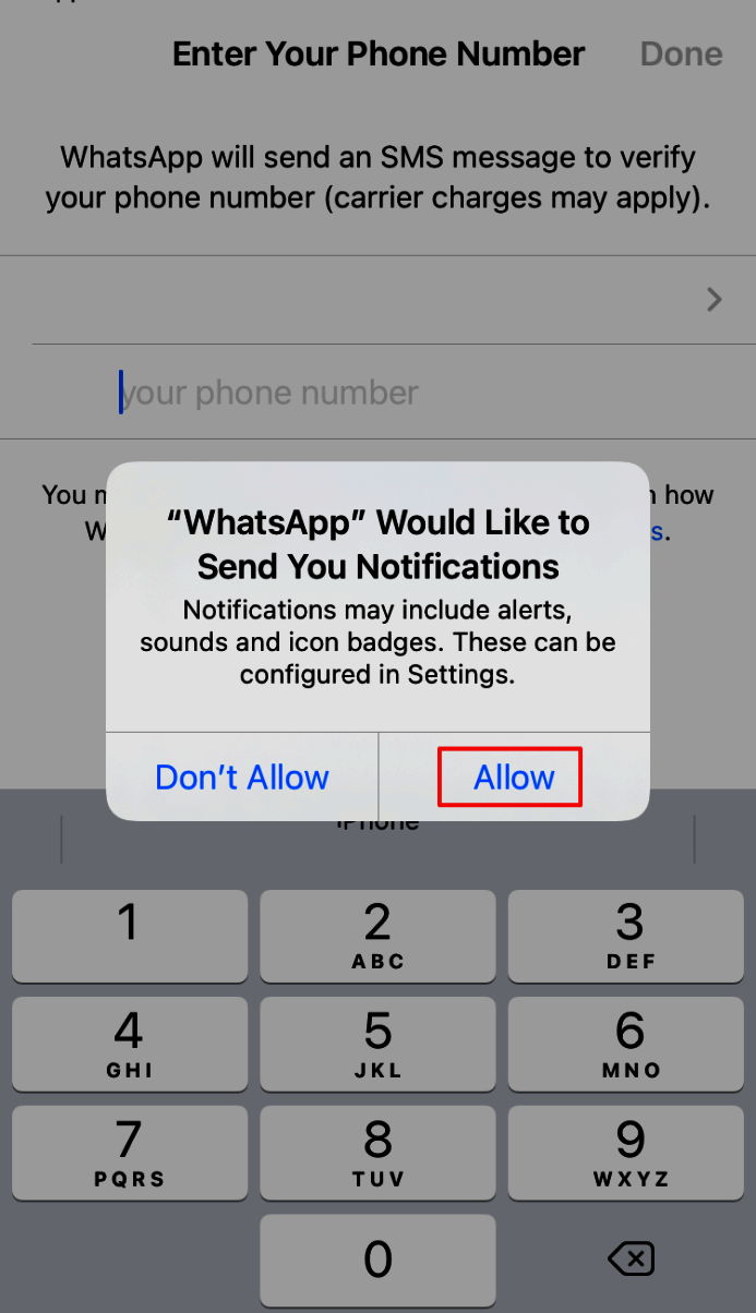 How to set up WhatsApp in a few easy steps - IONOS