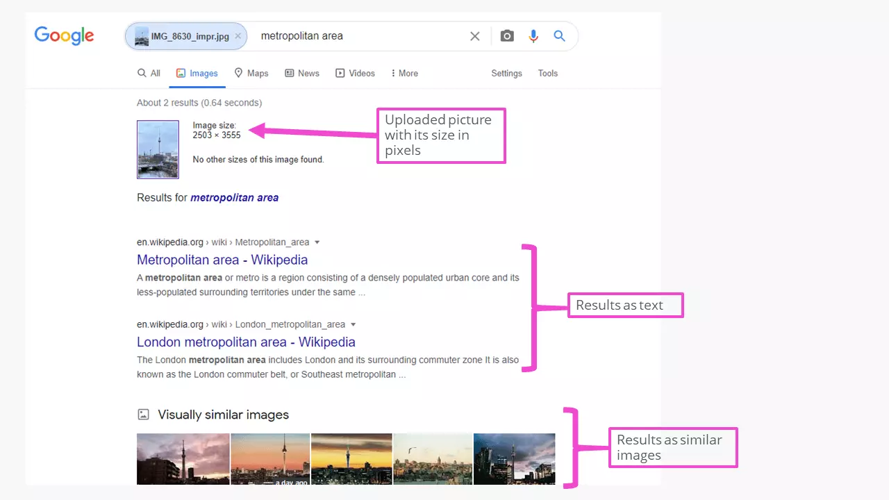 Reverse image search: search by image with Google - IONOS