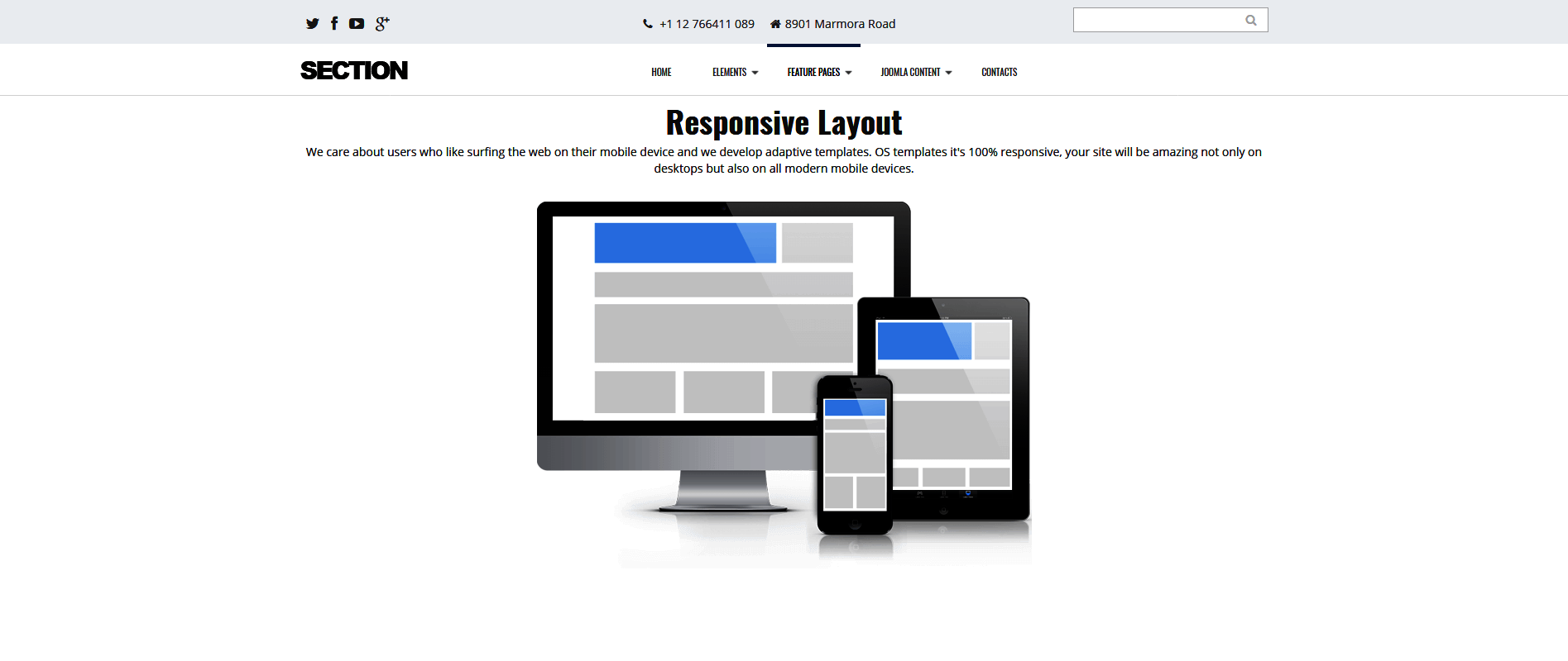 Seven best free Joomla templates - IONOS
