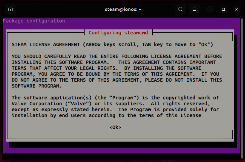 How to create a Sons of the Forest Ubuntu server - IONOS