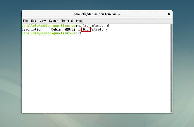 How to check Debian version: a quick guide - IONOS
