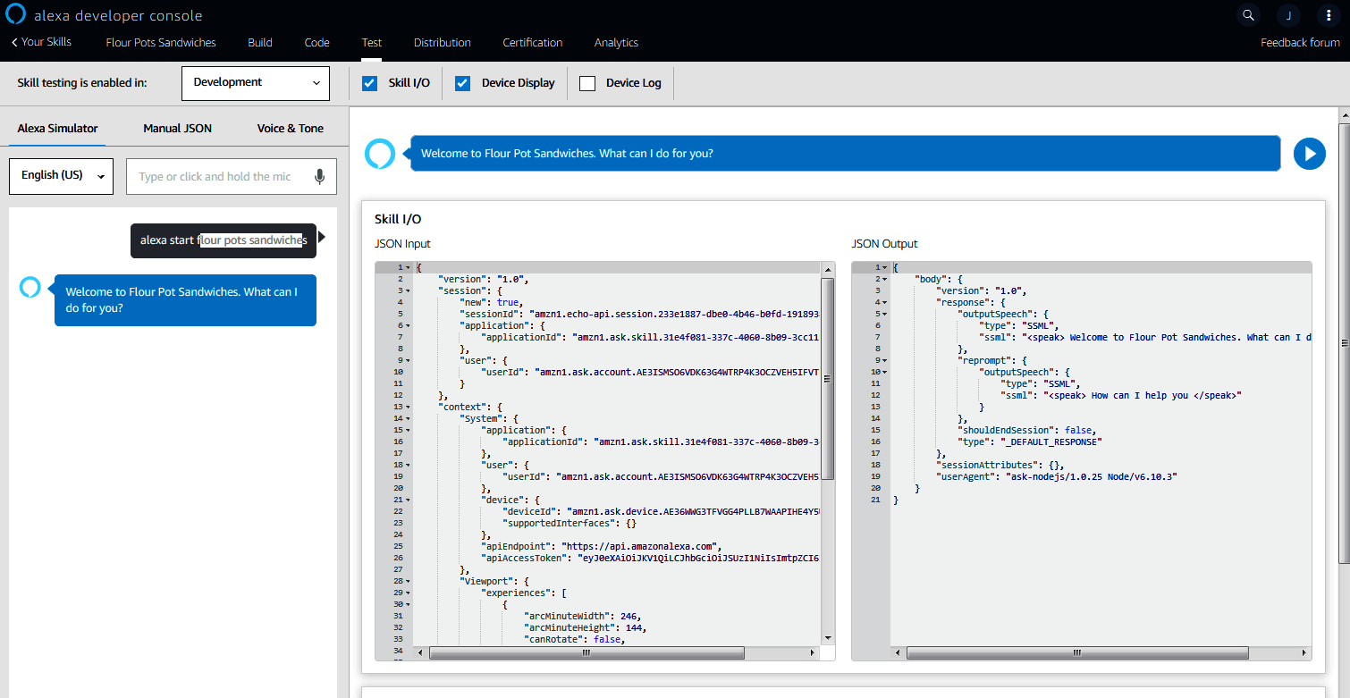 Programming Alexa Skills | Beginner tutorial - IONOS