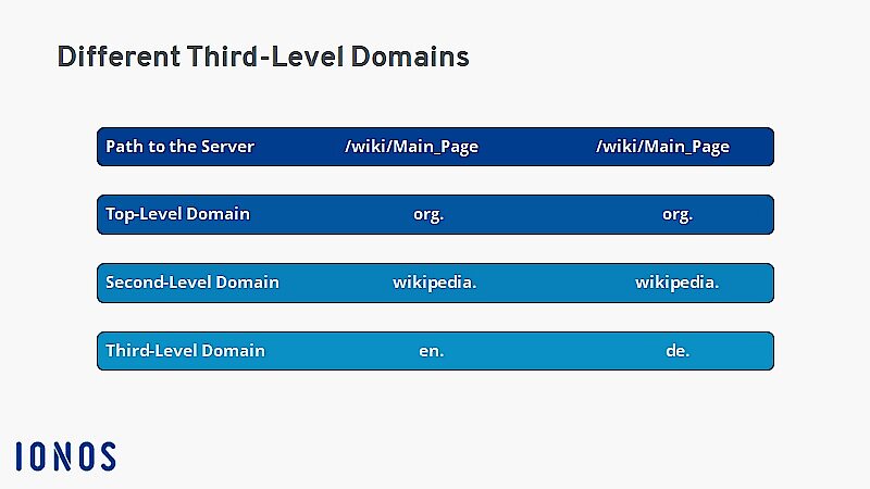 What is a domain? Definitions and examples - IONOS