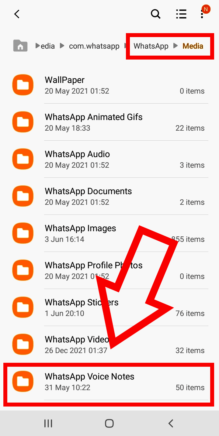 How to save audio from WhatsApp - IONOS