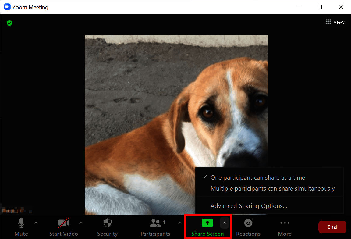 Zoom screen sharing: How to share your screen on Zoom - IONOS