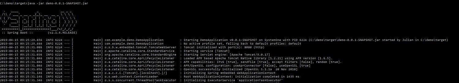 Spring Boot Tutorial - IONOS