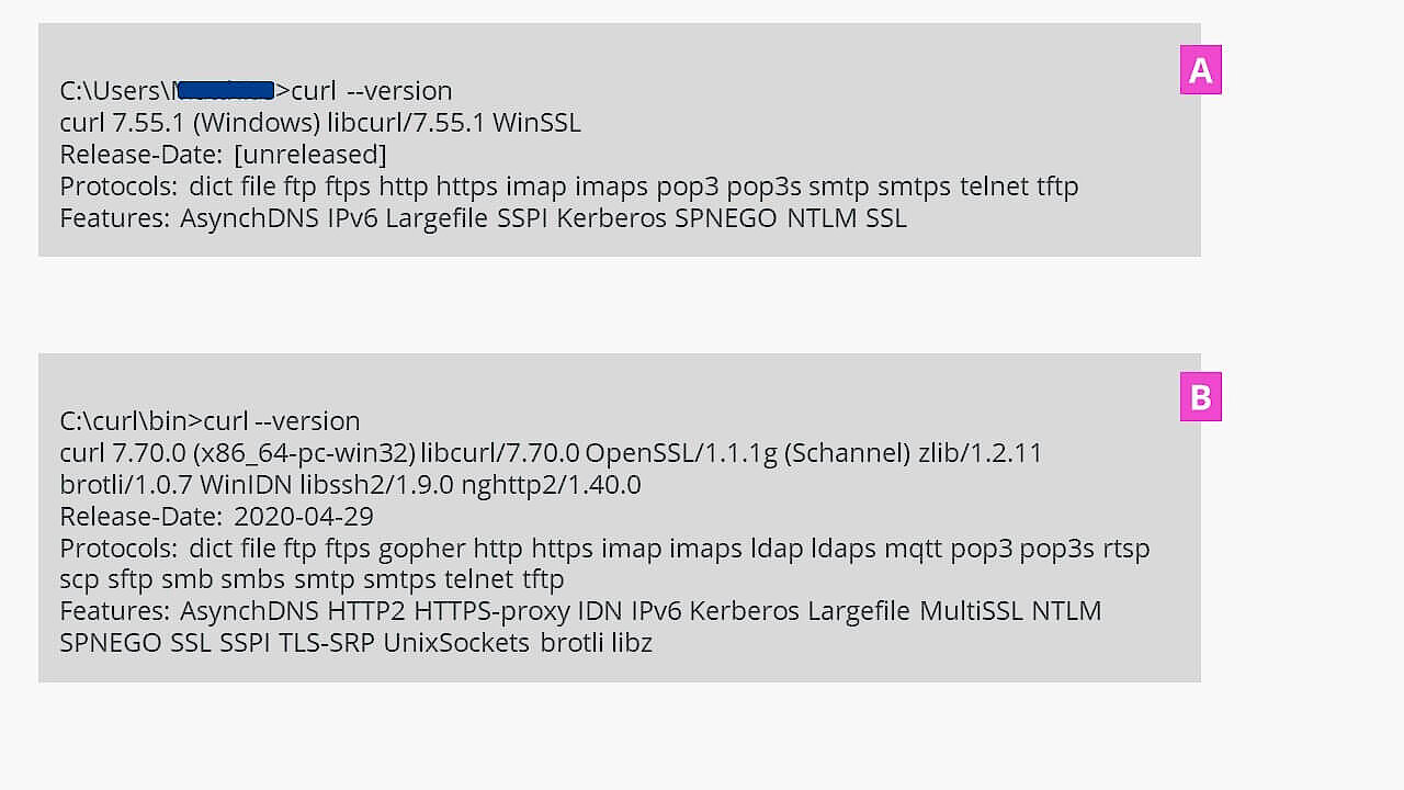 cURL for Windows as a universal tool for web development - IONOS