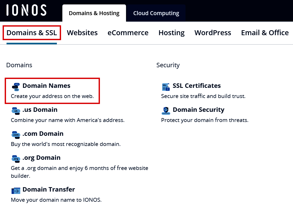 How to set up a custom Substack domain - IONOS