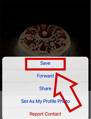 Guardar fotos de WhatsApp en iPhone o Android - IONOS