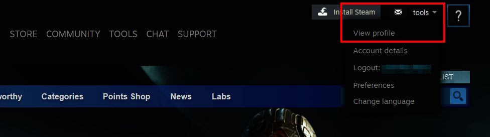 Steam ID: cómo averiguar tu ID de Steam - IONOS