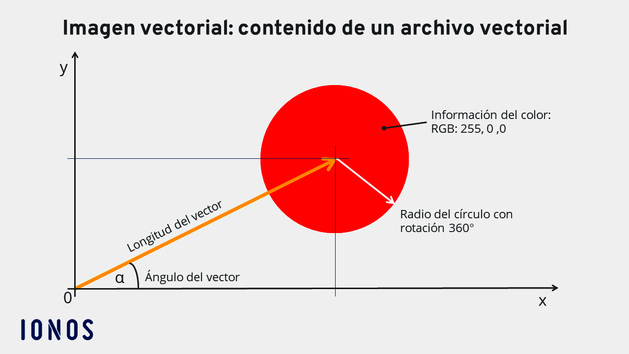 Imágenes vectoriales: cambiar el tamaño de los gráficos sin límites - IONOS
