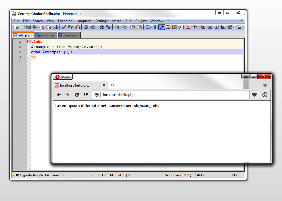 Tutorial de PHP: fundamentos básicos para principiantes - IONOS