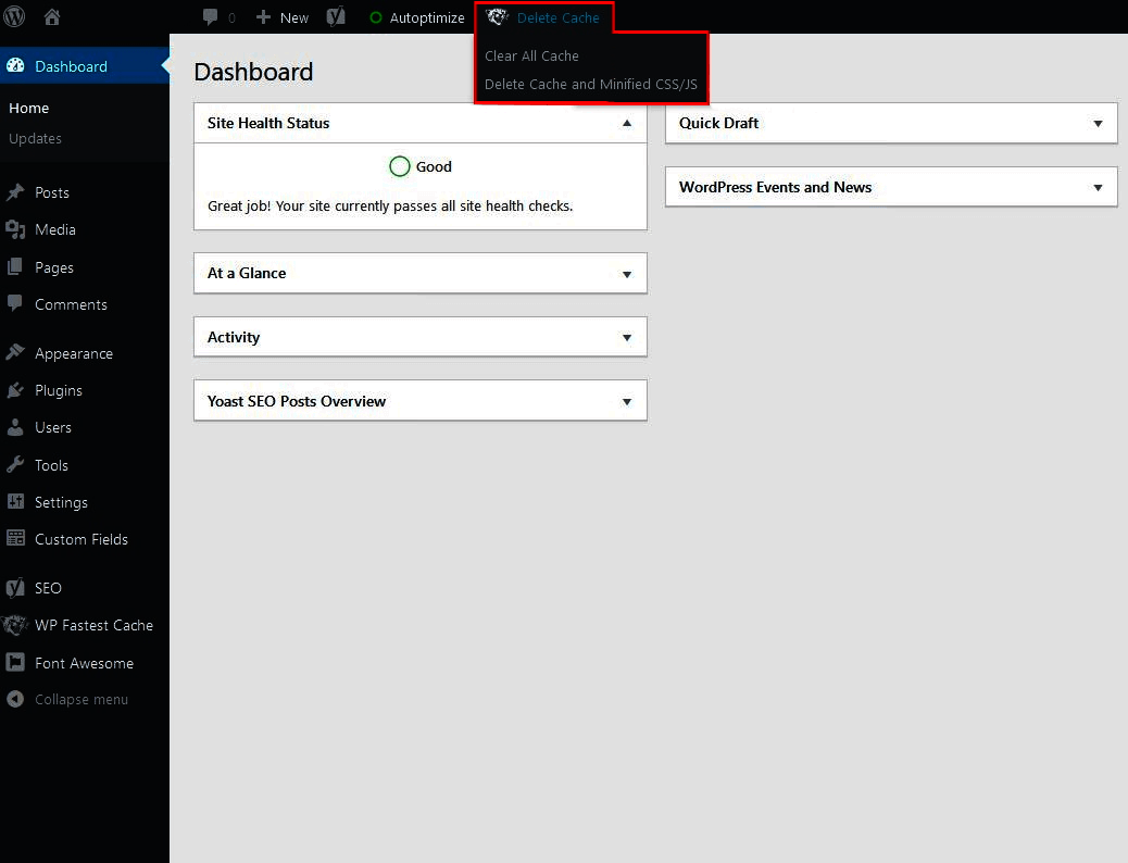 Limpar cache no WordPress: como limpar com e sem plugin - IONOS